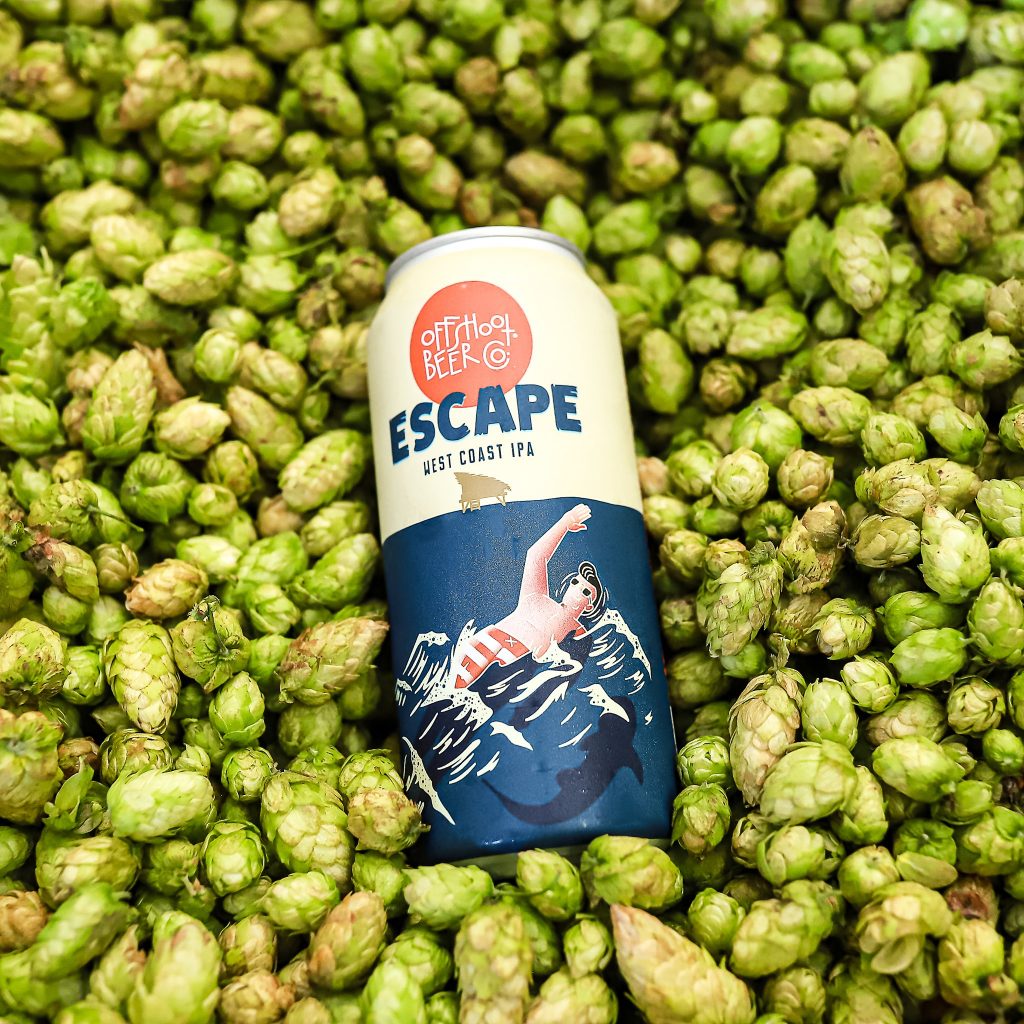 酒廠介紹128｜美國精釀啤酒品牌 Offshoot Beer Co. - ABV-啤酒餐廳領導品牌